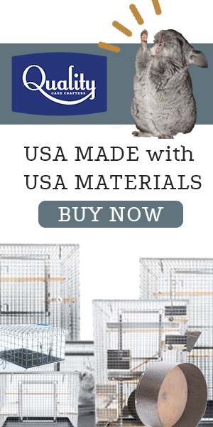 Gray Tree Frog Care Sheet: Diet, Habitat, and More | Critters Aplenty