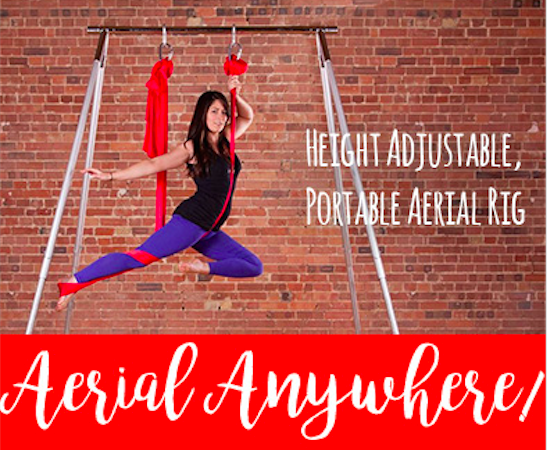 Best Freestanding Aerial Rig of 2025 - Pole Fit Freedom